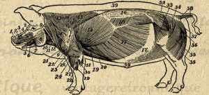 How Do You Map Your Meat? | Musings on Maps