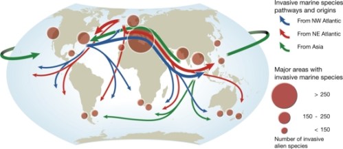 mapping invasive species | Musings on Maps