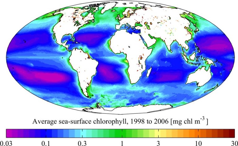 mapping jelly fish | Musings on Maps