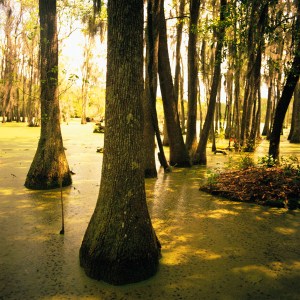 Mapping the Cancer Corridor along Louisiana’s Gulf Coast | Musings on Maps