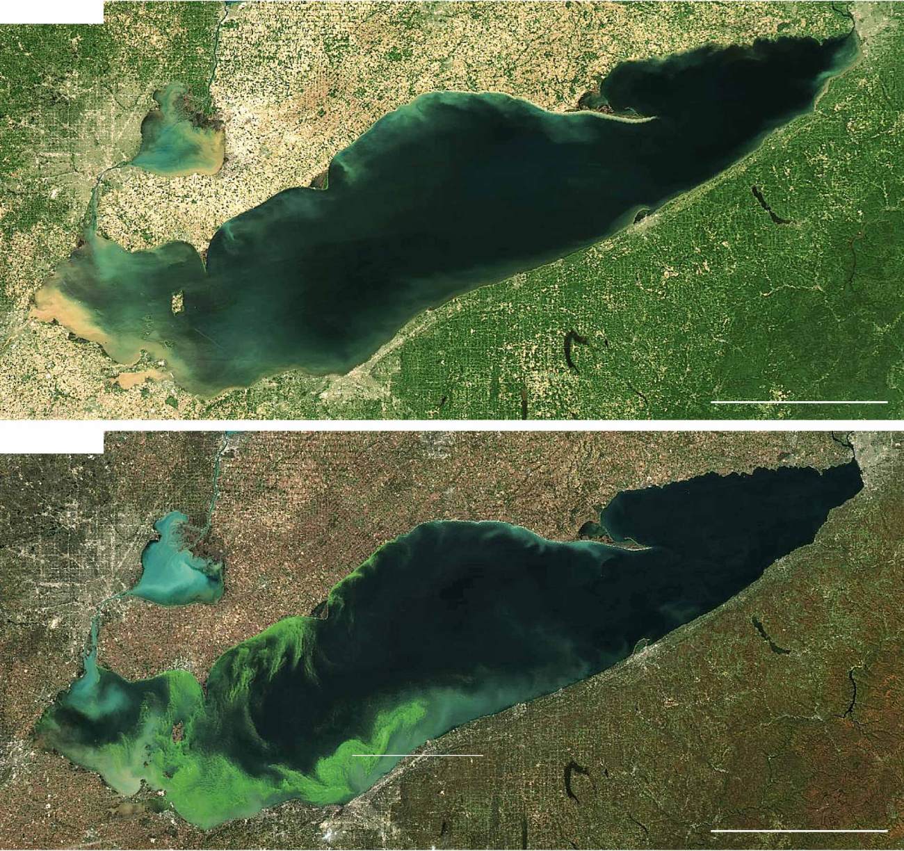 A New Other Green World? Mapping Algae Populations and Tracking Harmful ...