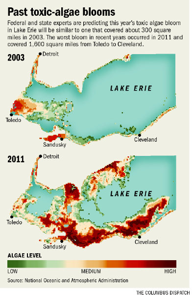A New Other Green World? Mapping Algae Populations and Tracking Harmful ...