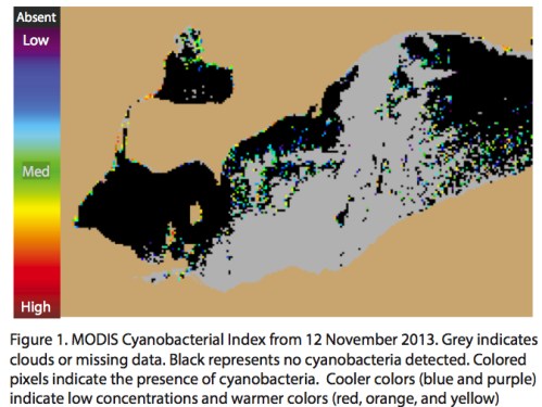 A New Other Green World? Mapping Algae Populations and Tracking Harmful ...