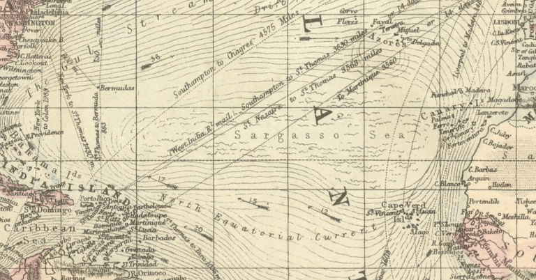 Floating Sargasso Sea | Musings on Maps