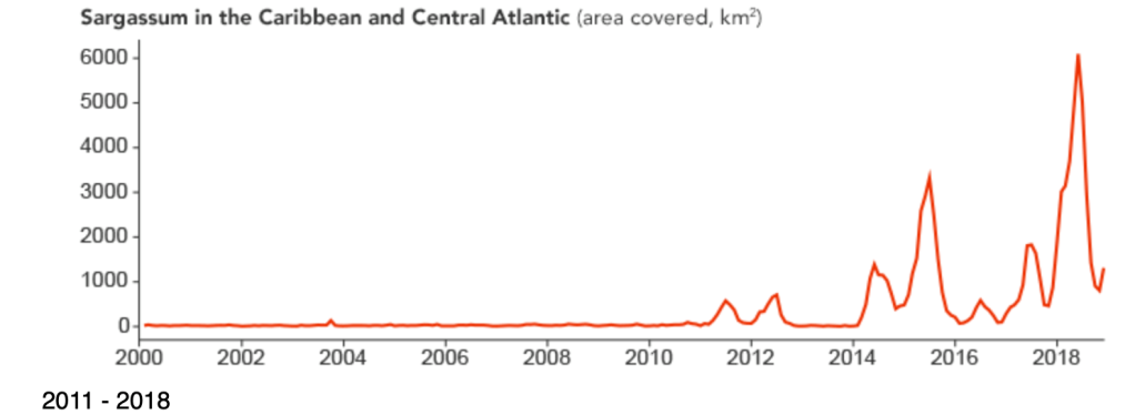 sargassum belt | Musings on Maps